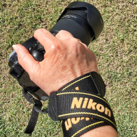 9 Best Things to Do in Luxor at Night