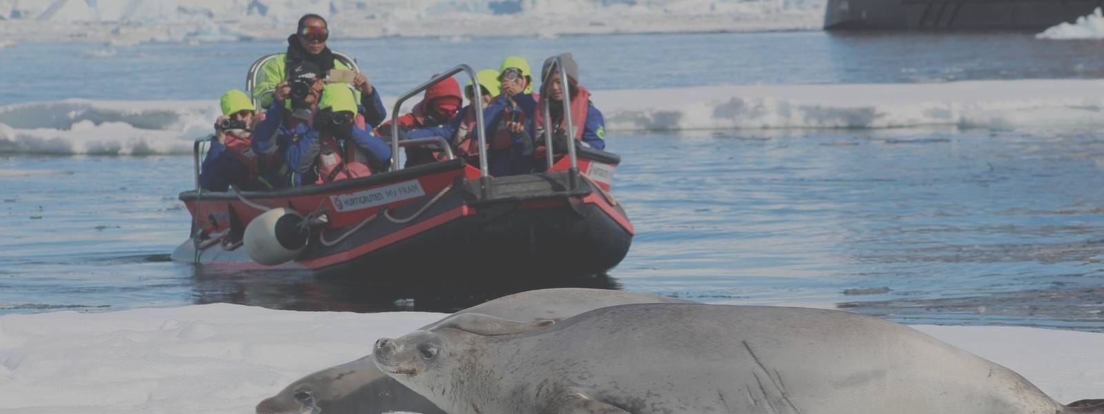 Antarctica: Everything you Need to Know About Planning a Trip