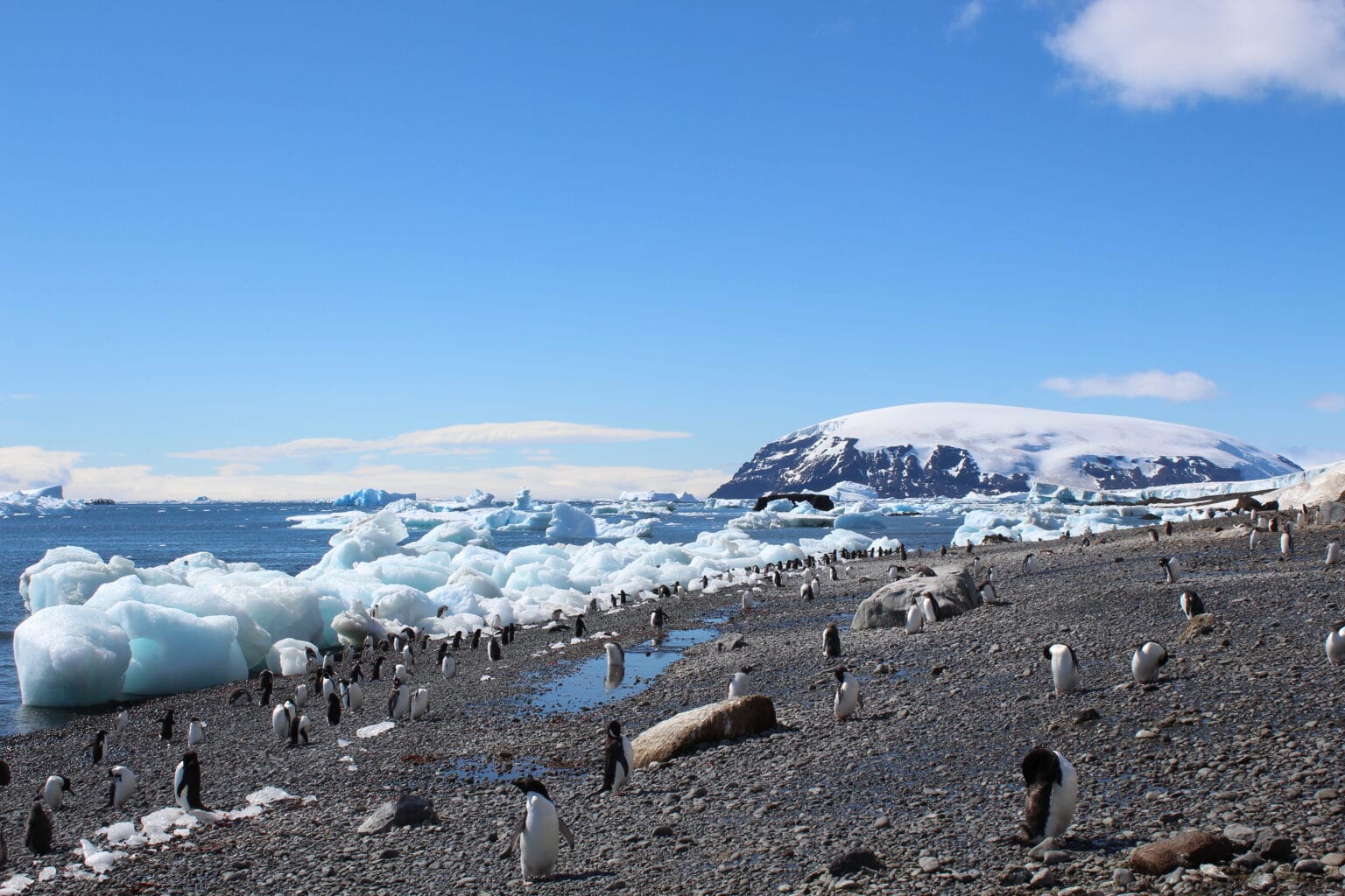 11 Top Tips for Visiting Antarctica