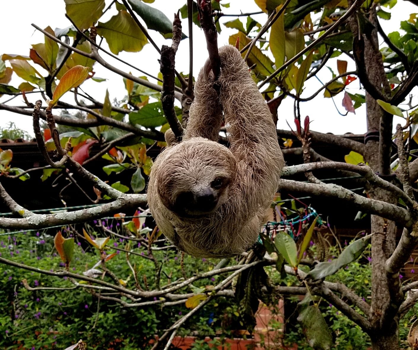 30+ Ethical Animal Encounters Around the World