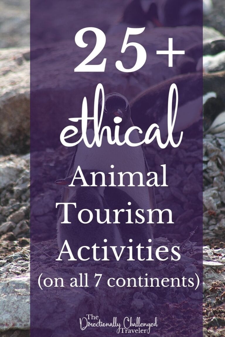 25+ Ethical Animal Encounters Around the World