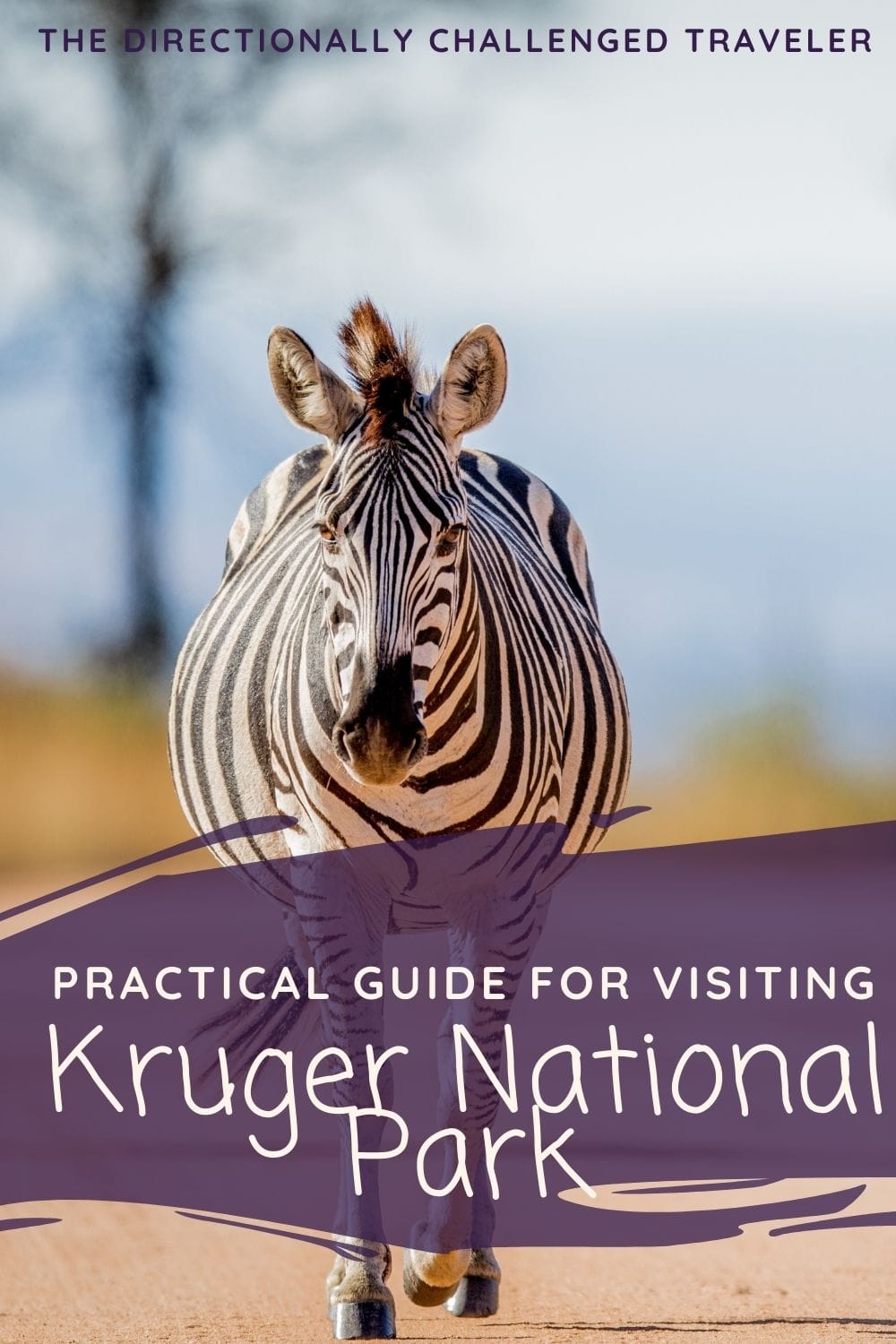 A Complete Guide to Visiting Kruger National Park, South Africa
