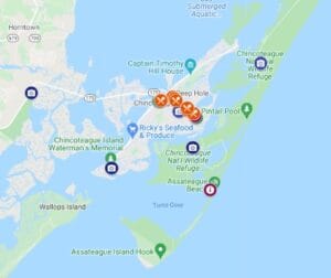 12 Best Things to do in Chincoteague, Virginia