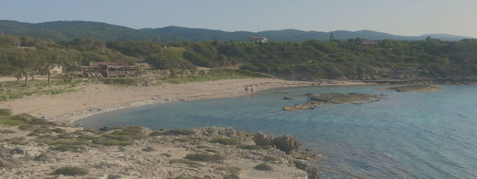 Help Sea Turtles in North Cyprus