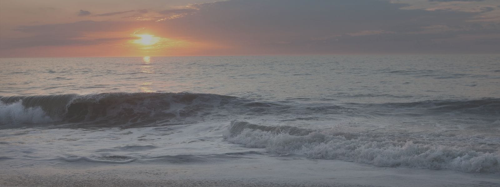 14 Best Places to Visit in Spring in Maryland