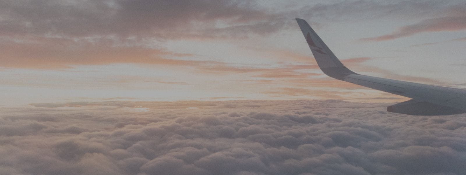 Here's What to do if You Miss your Flight