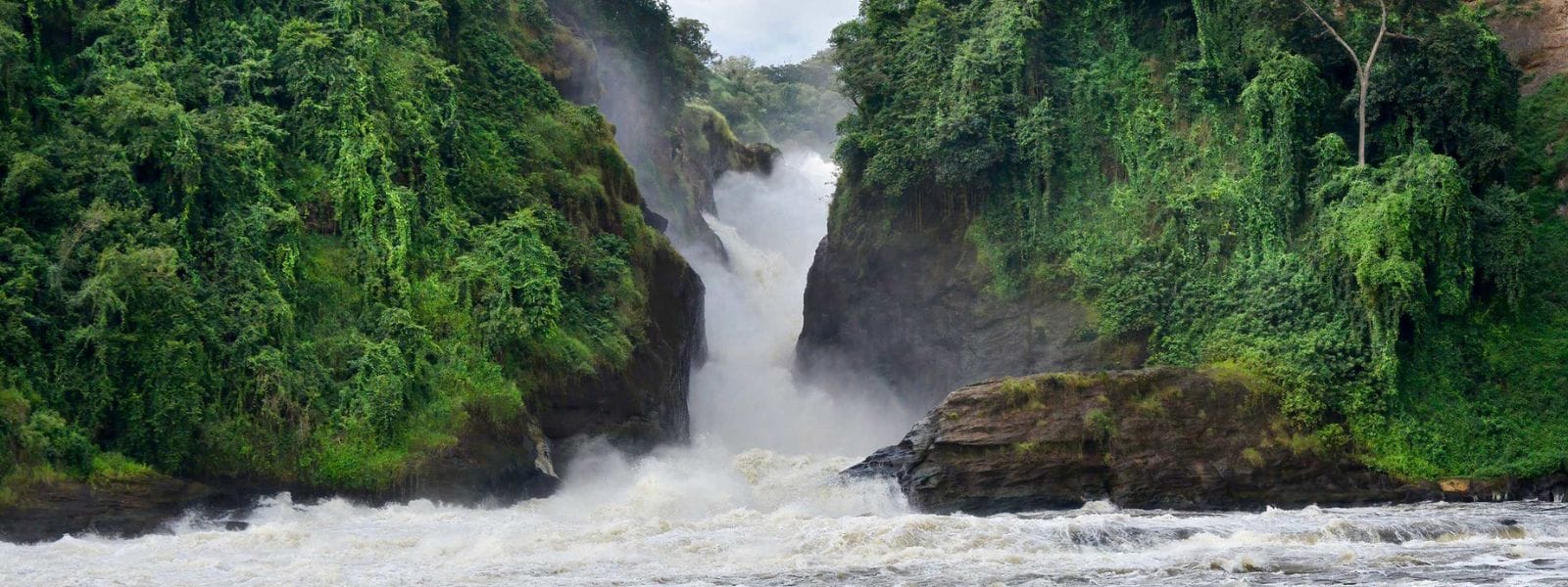10 Top National Parks in Uganda for Wildlife Enthusiasts