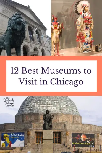 10+ Best Museums in Chicago for First Time Visitors